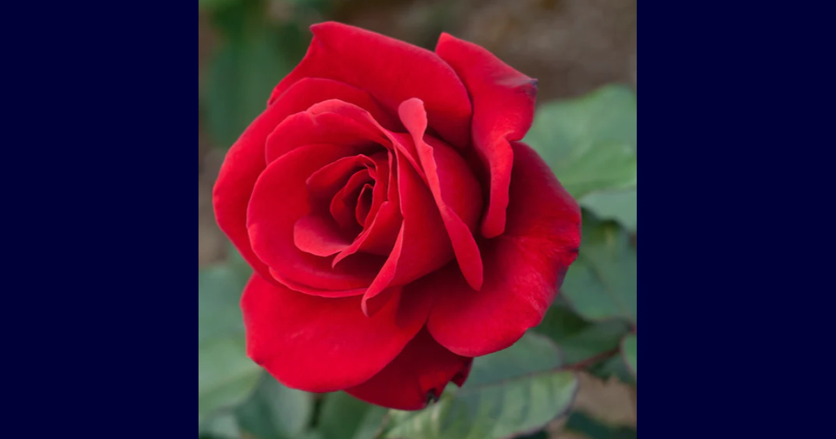 "Celestial Worlds.." | free World backing track