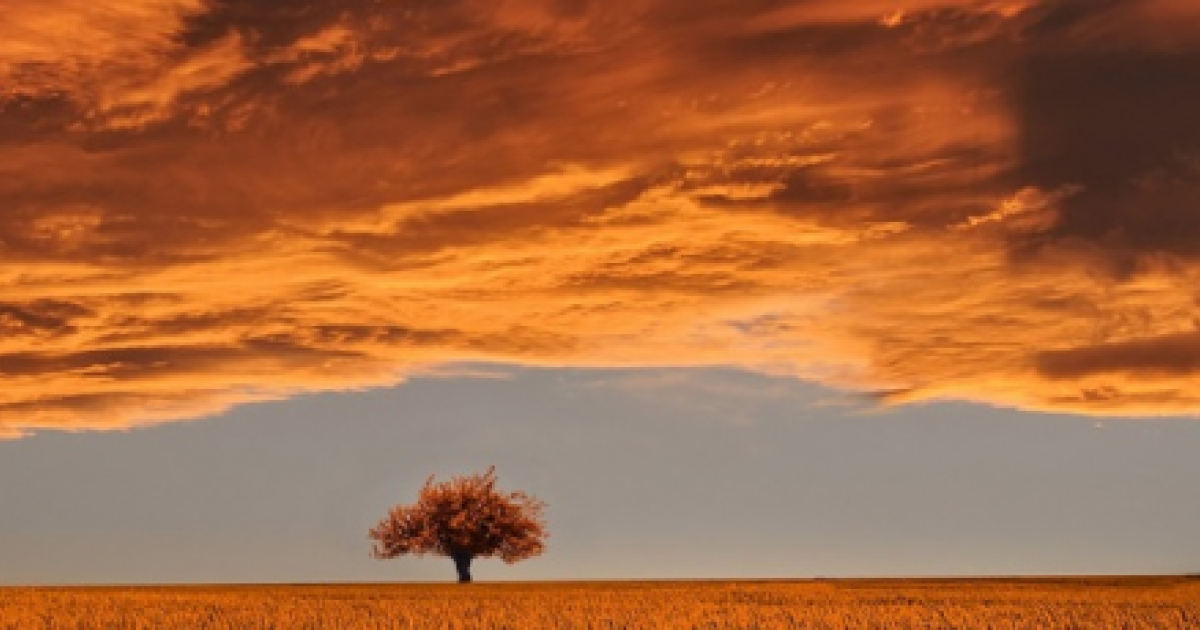 "another stupid boring lonely day" | free Blues backing track